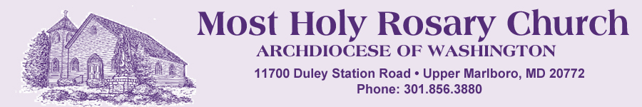 FATA Online - Bulletin